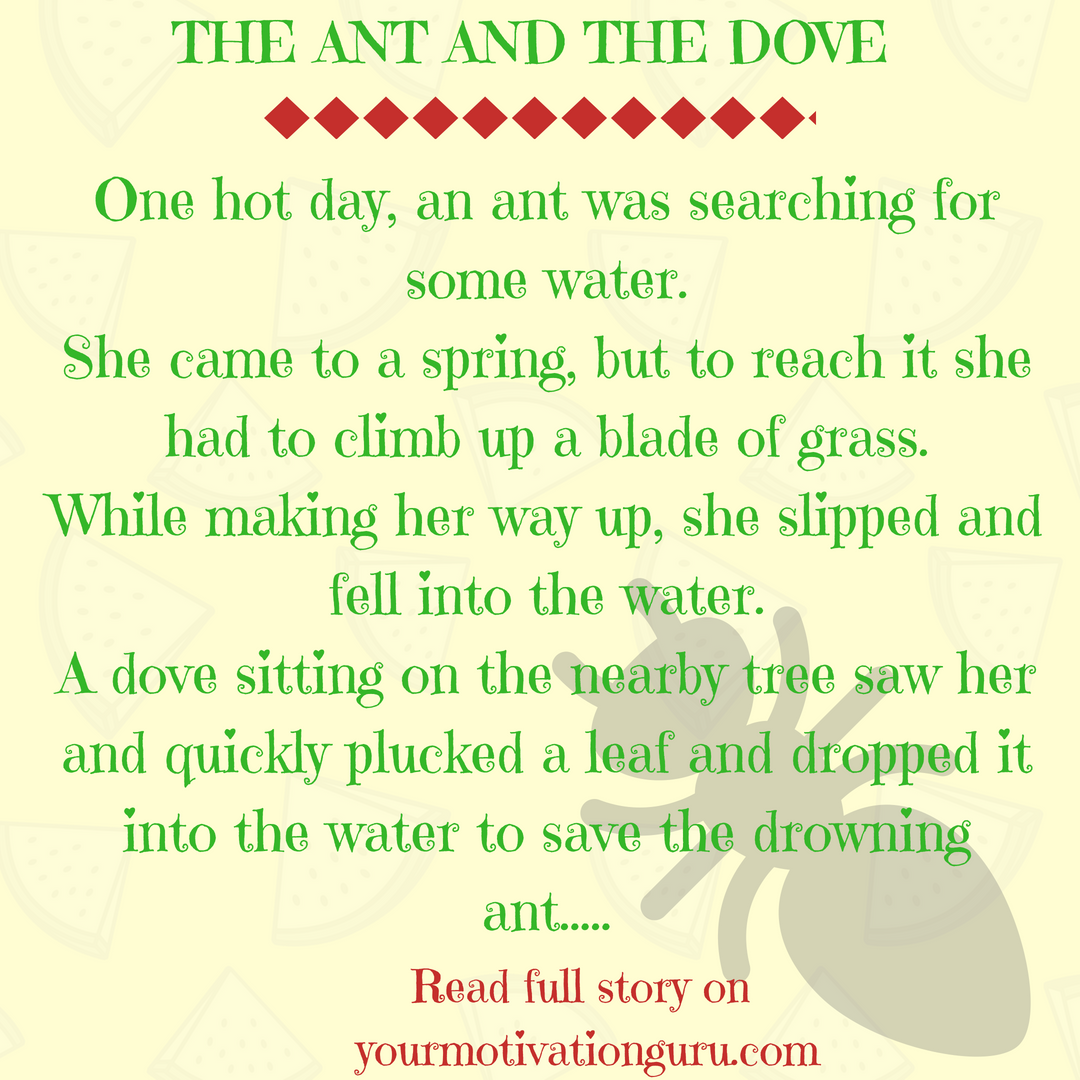 Top 28 Stories For Kids In English ECY-1 (Age 2.5 – 3.5 years)